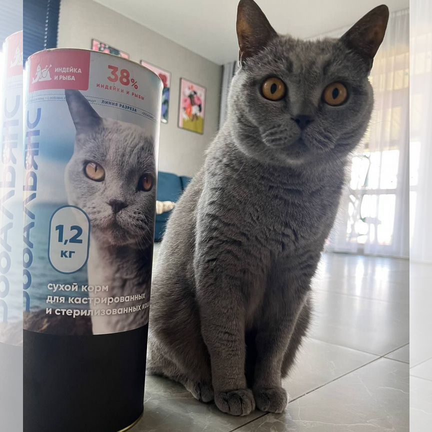 Корм супер-премиум от производителя