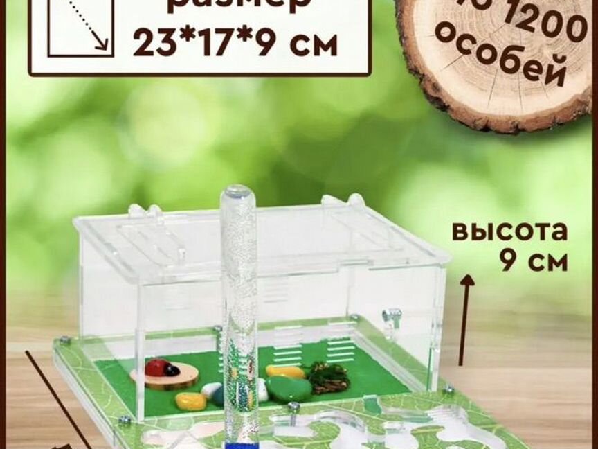 Муравьиная ферма б/у (без муравьев)