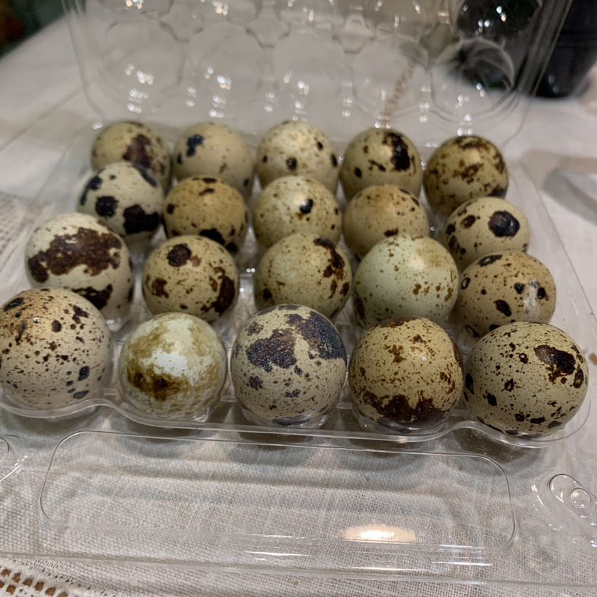 Яйца перепелиные