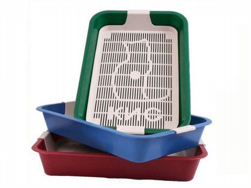 Лоток для котят