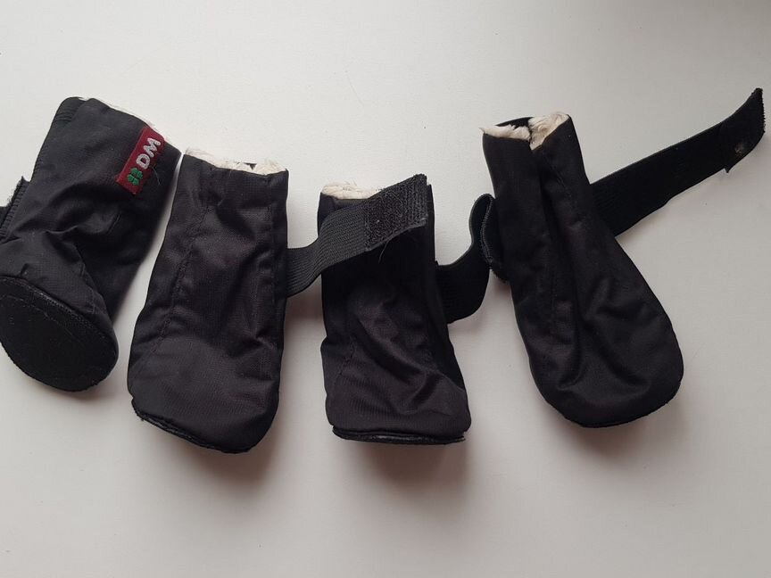 Ботинки для мелкой собачки