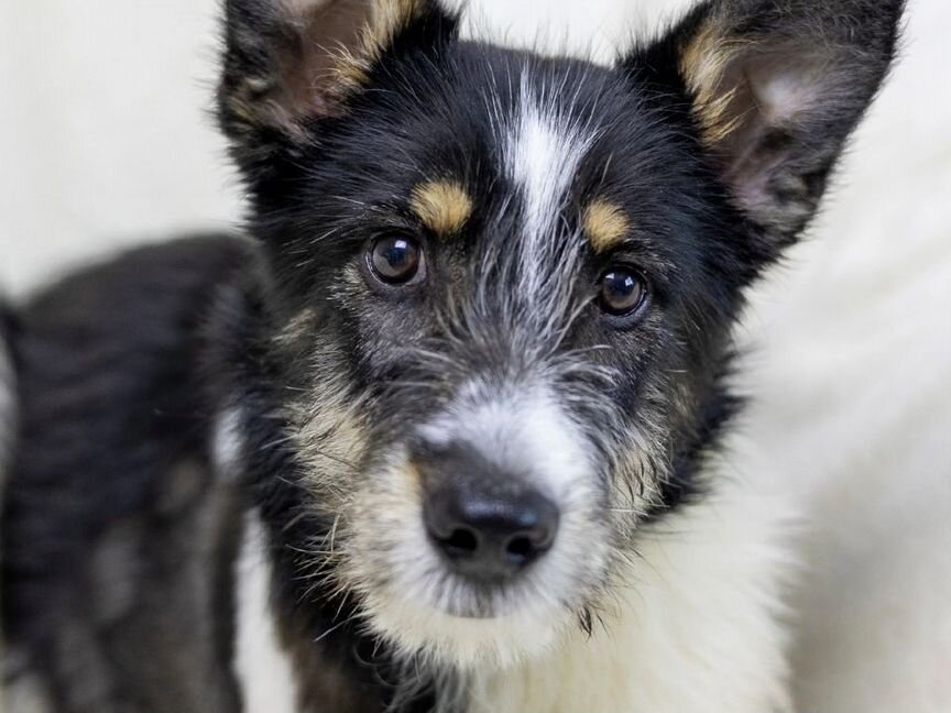 Невероятно скромный малыш Тимка