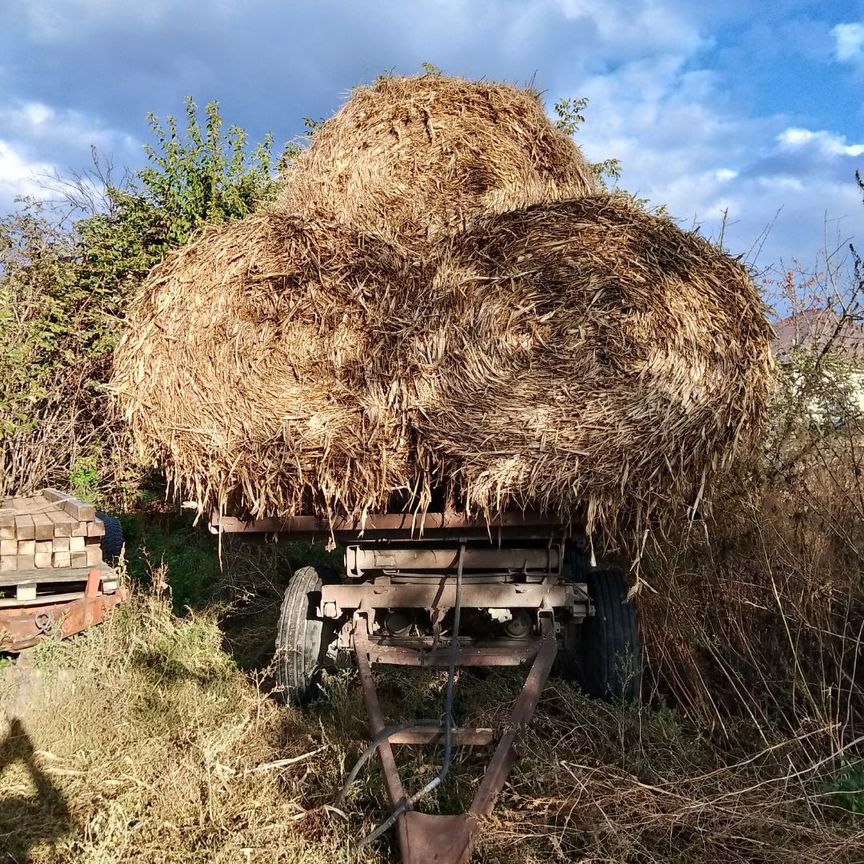 Сено в тюках