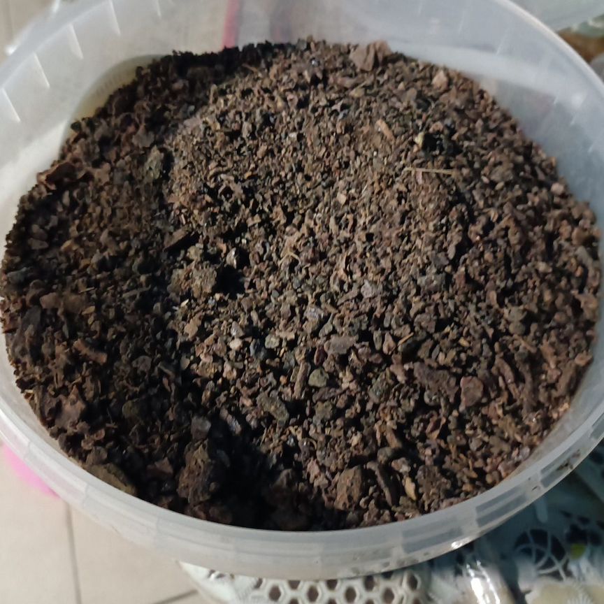 Продам прополис