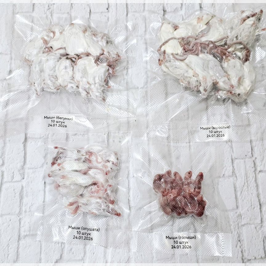 Замороженные мыши упаковки 10 штук