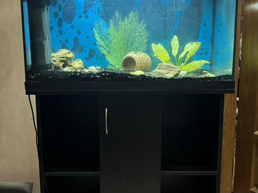 Аквариум 126 л