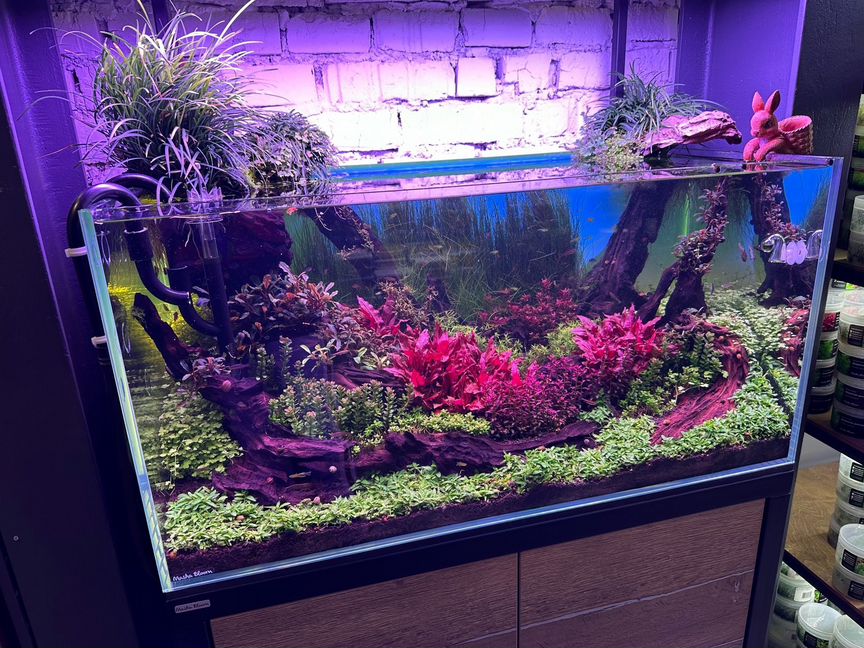 Аквариум 200 литров. Для рыбок и растений. Большой