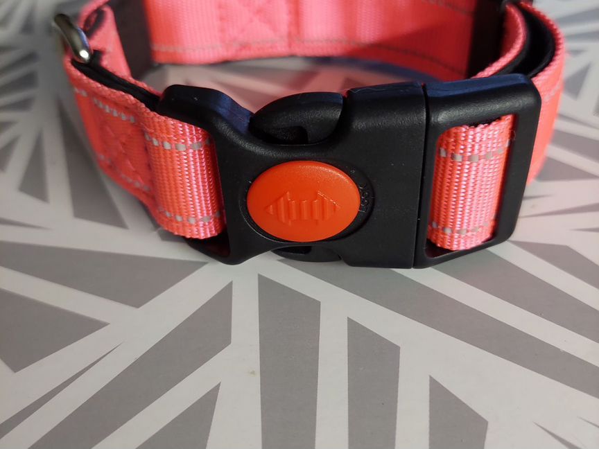 Ошейник для собак