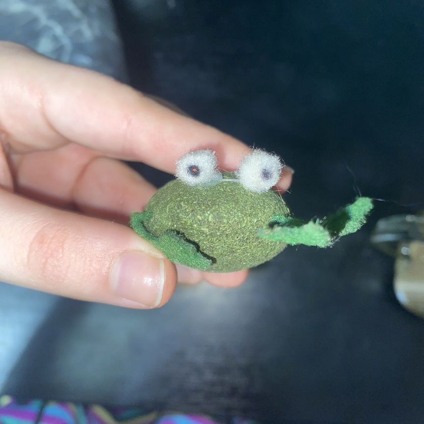 Мята для кошек