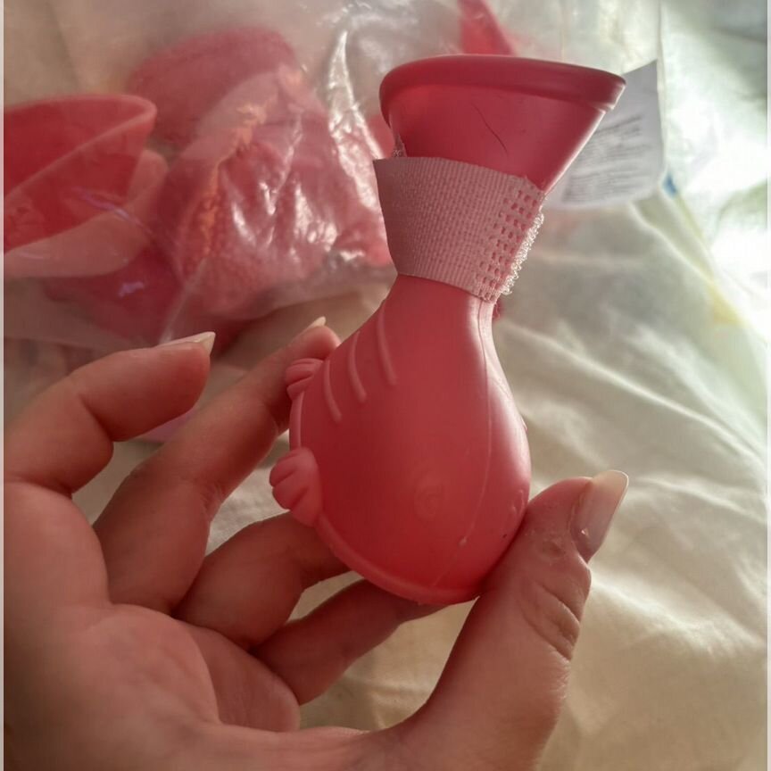 Сапоги для собак