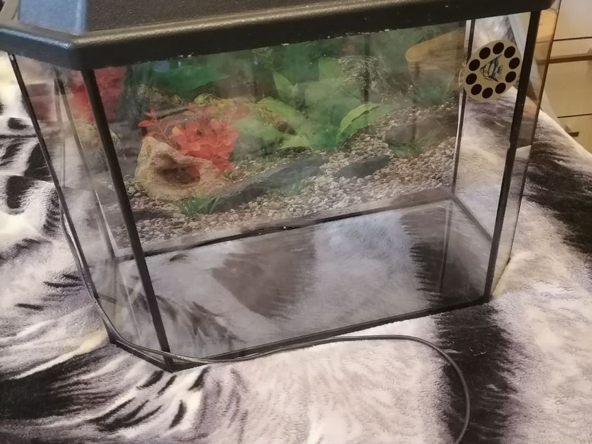 Аквариум на 30-35литров