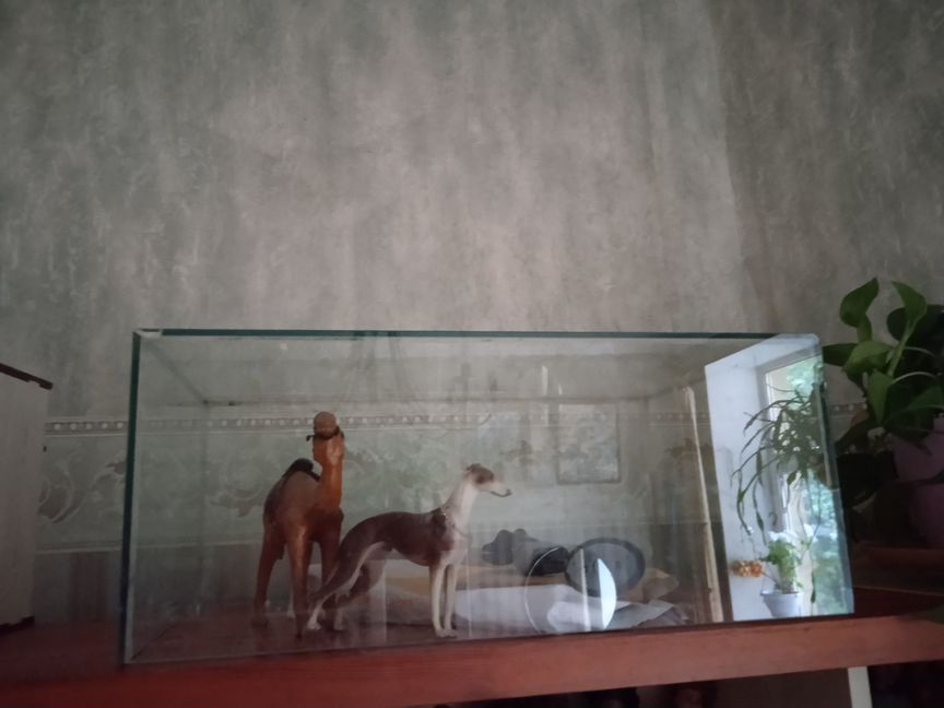 Аквариум для красноухой черепахи