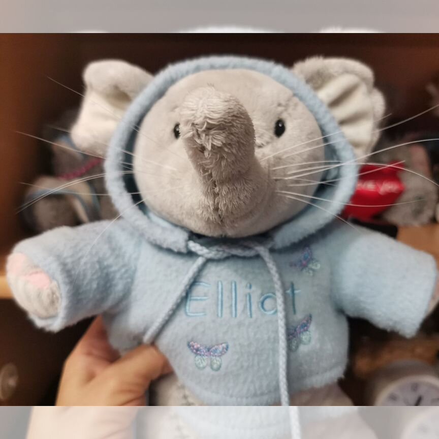 Кошачьи усы от шотландки веслоухой