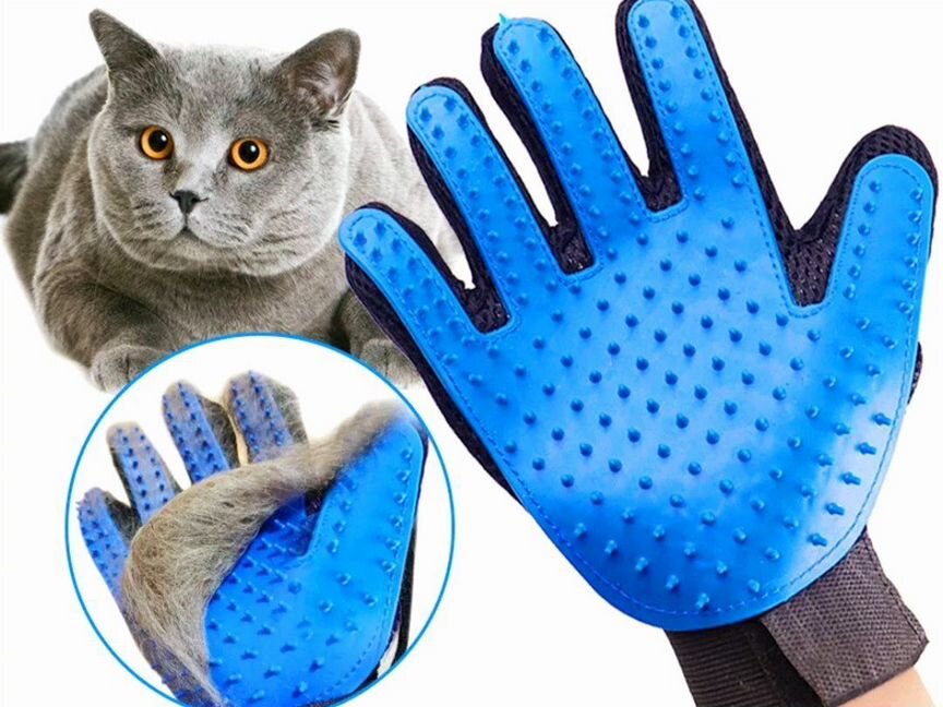 Отдам набор для котенка