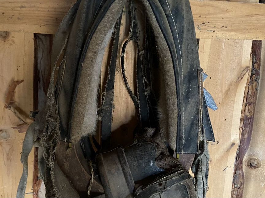 Хомут для лошади