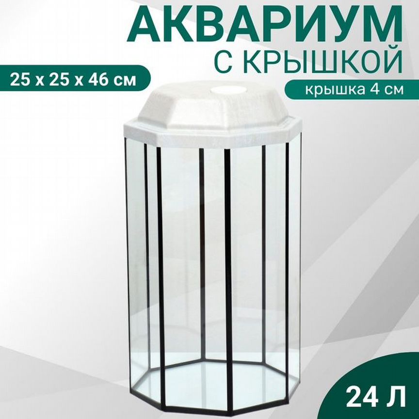 Аквариум "Восьмигранный" с крышкой, 24