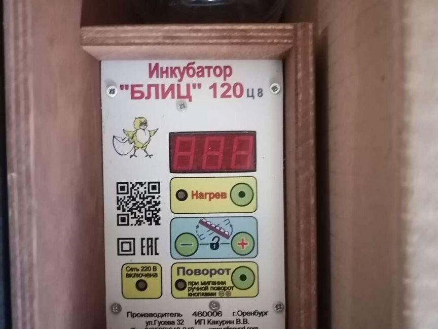 Инкубатор