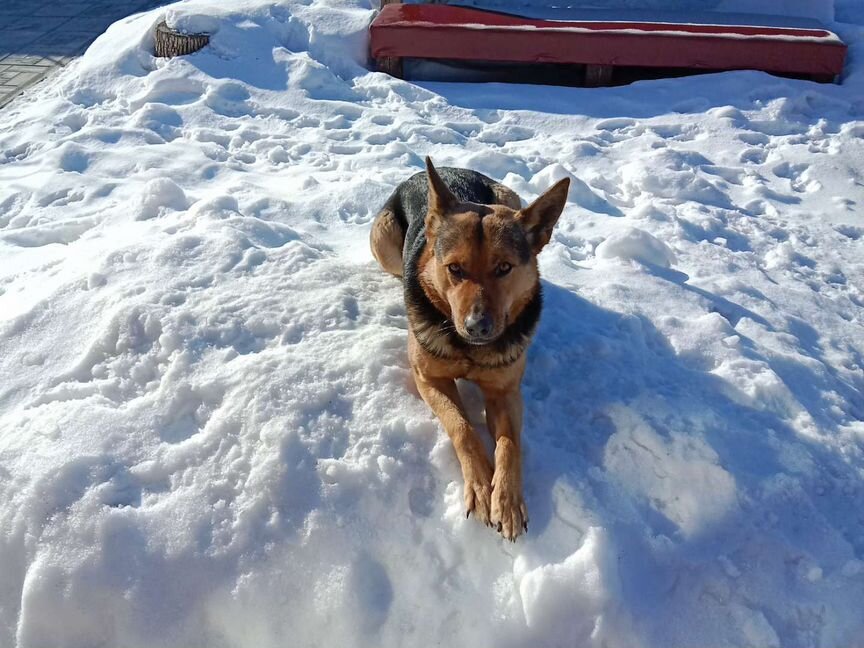 Ищет подругу