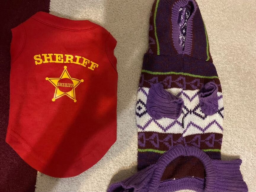 Одежда для животных