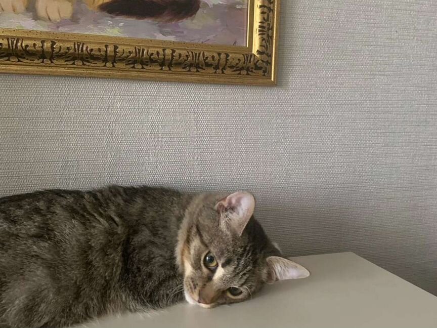 Милый которебенок