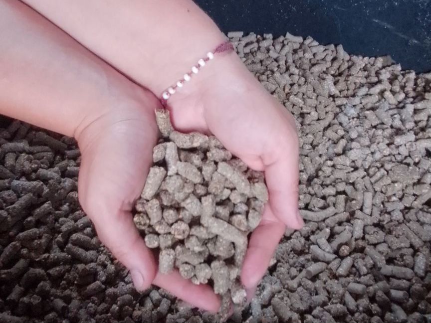 Продам комбикорм для вашей птицы