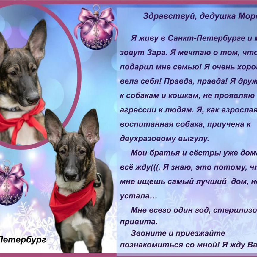 Зара ищет семью