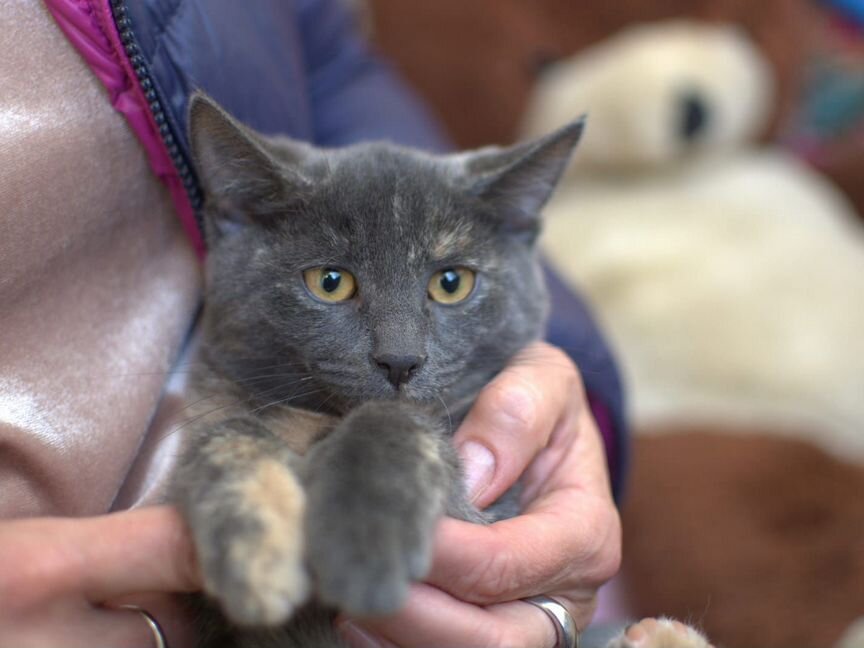 Ласковая, умная девочка