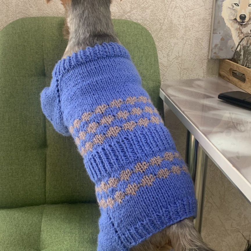 Комбинезон для Вашей маленькой собочки