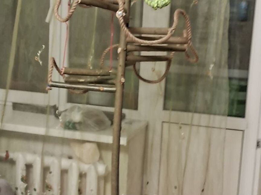 Напольная присада для крупных попугаев