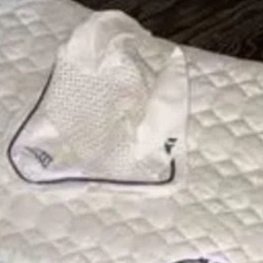 Много Конной амуниции бу вальтрапы бинты попона