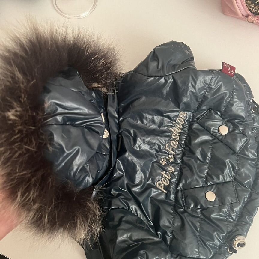 Одежда для маленьких собак