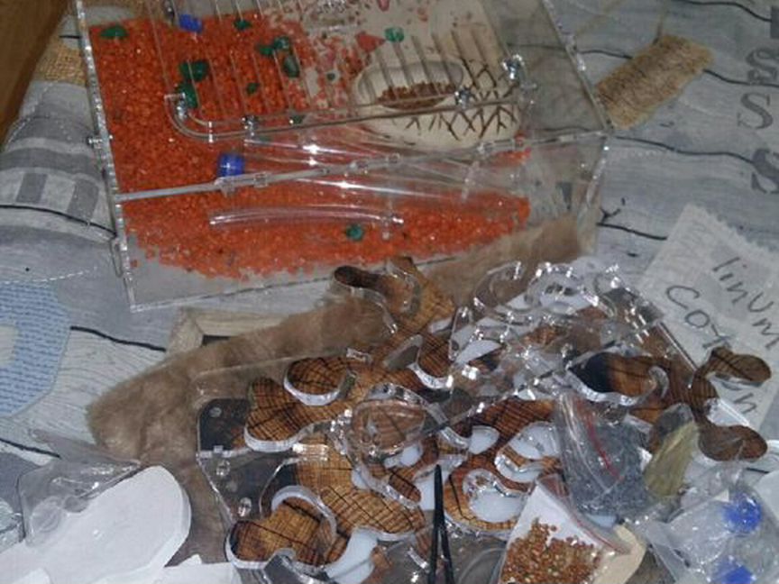 Формикарий для муравьев