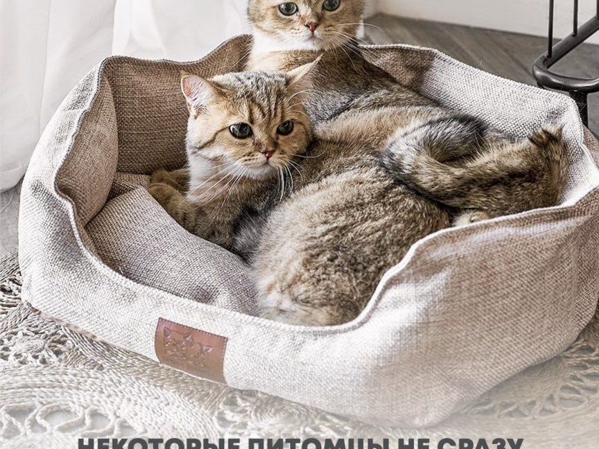 Лежанка для животных