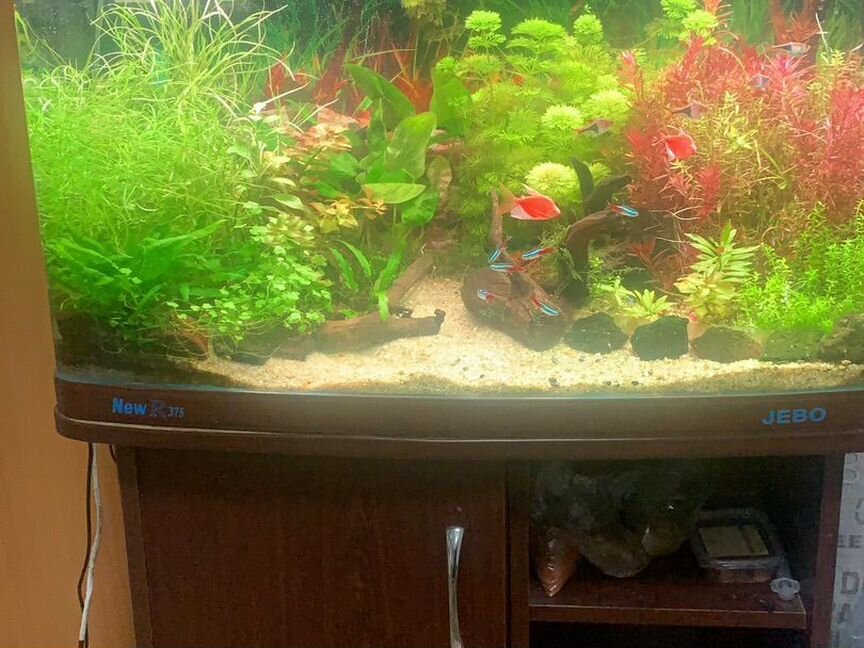 Аквариум jebo r375