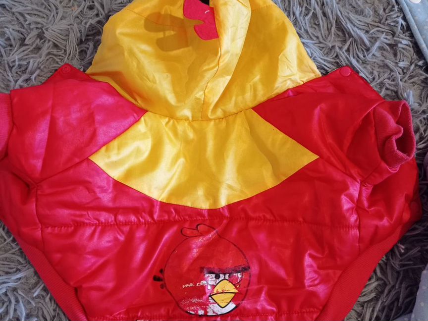 Одежда для маленьких собак бу