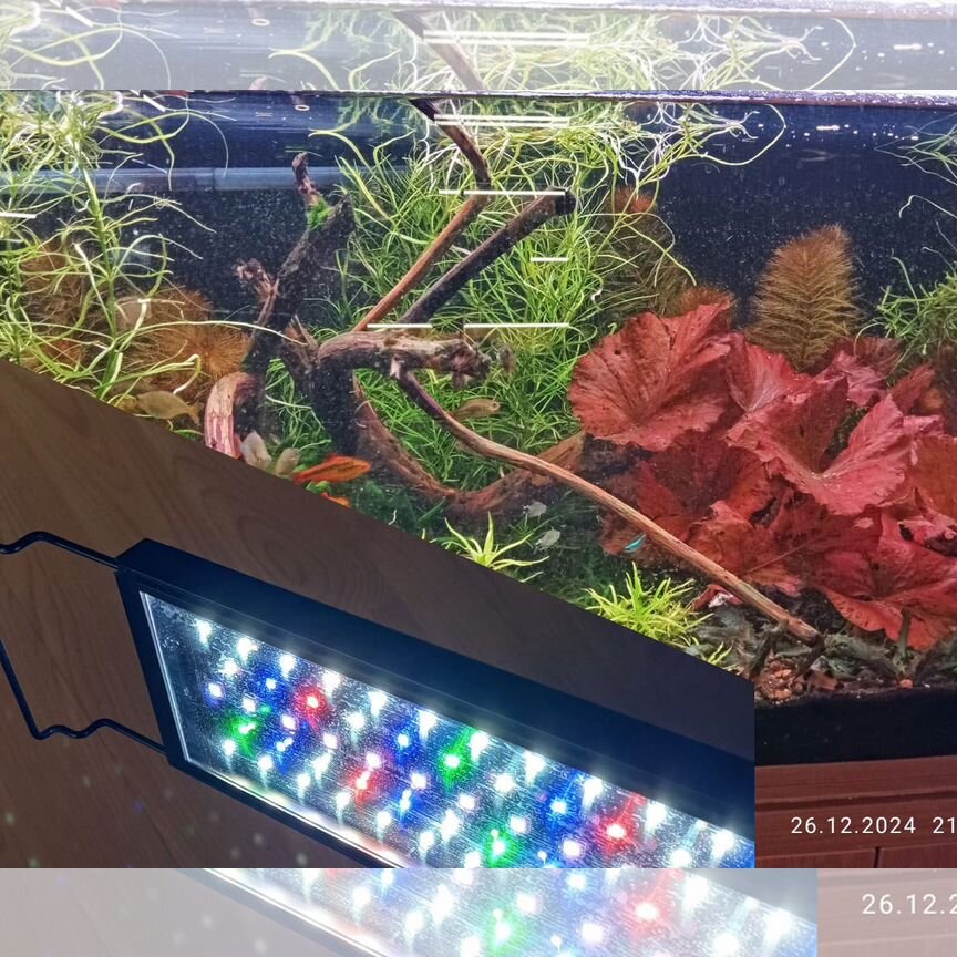 Аквариумный светильник