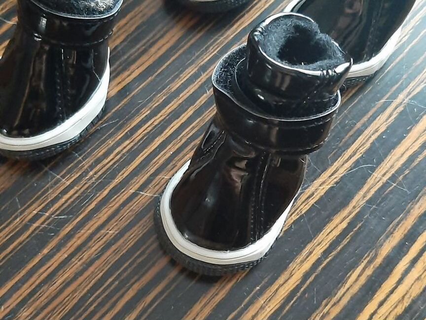 Обувь для маленьких собак