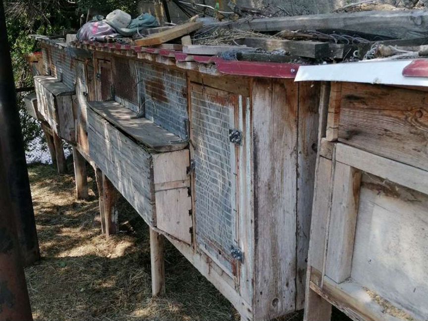 Клетка для кроликов