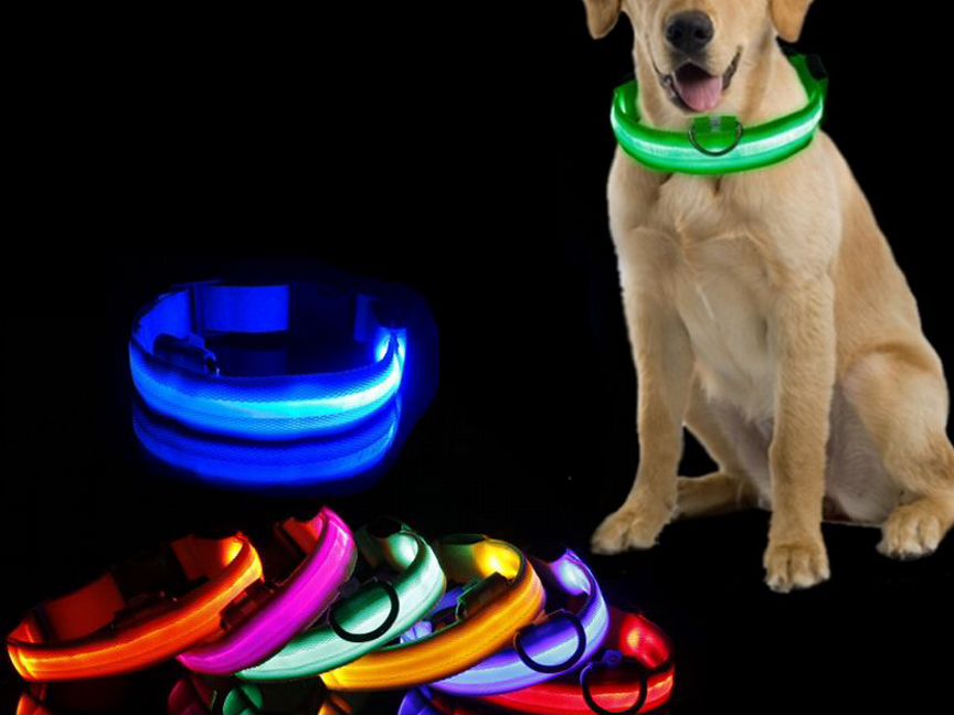 Светящийся ошейник для собак неоновый светодиодный