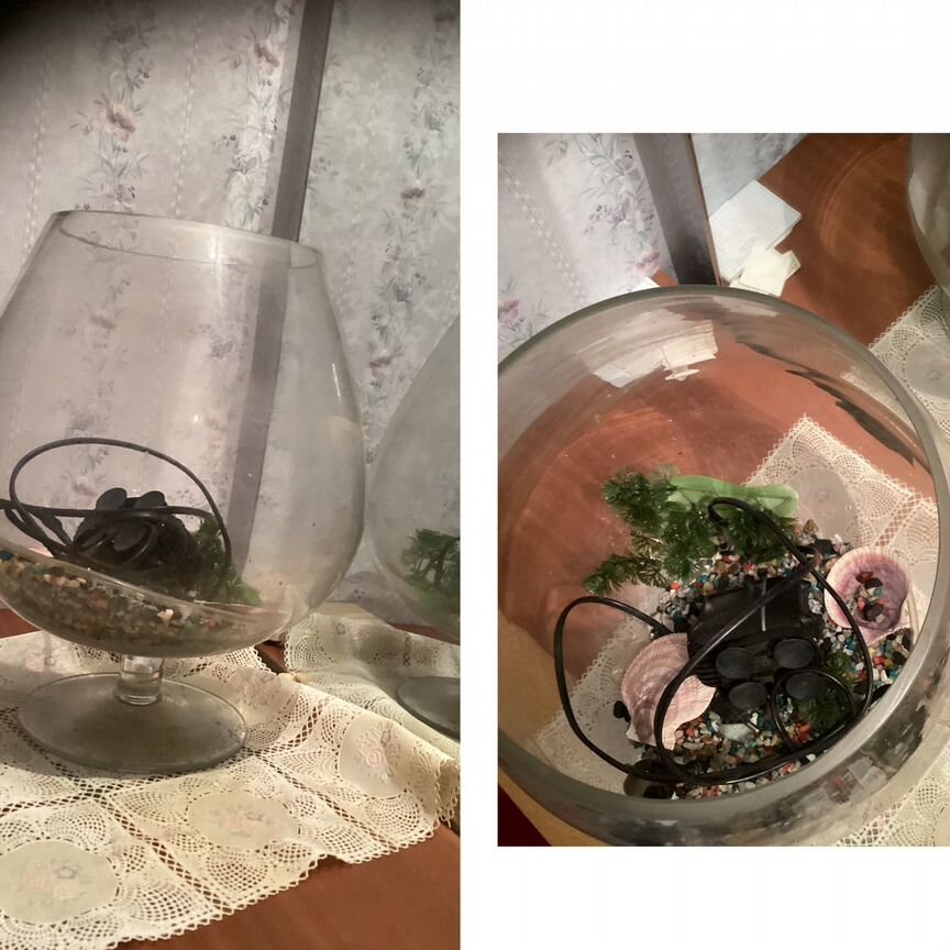 Аквариум Ваза - Бакал