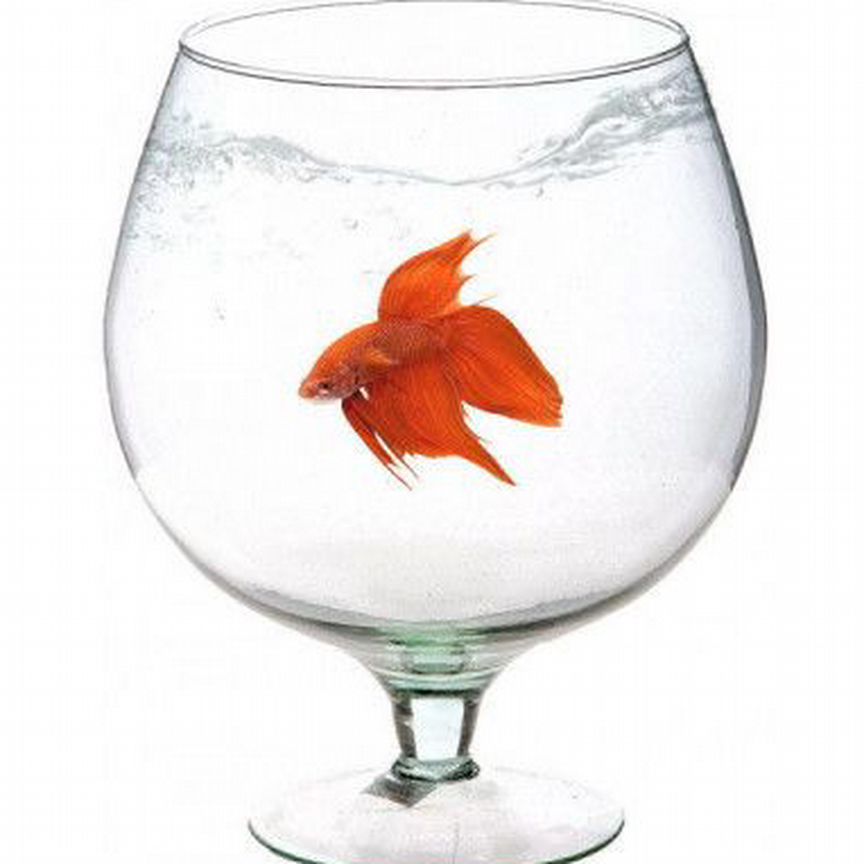 Аквариум Бокал 12л