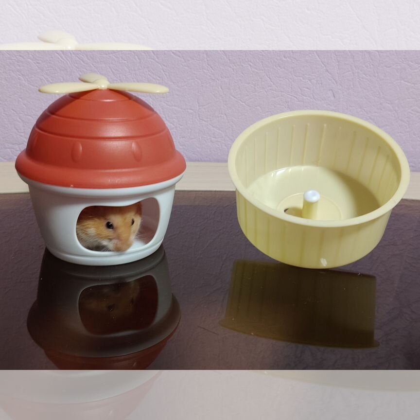 Домик для хомяка, колесо для хомяка