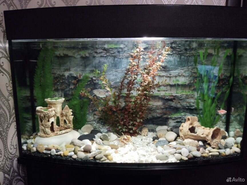 Аквариум с тумбой 200 литров