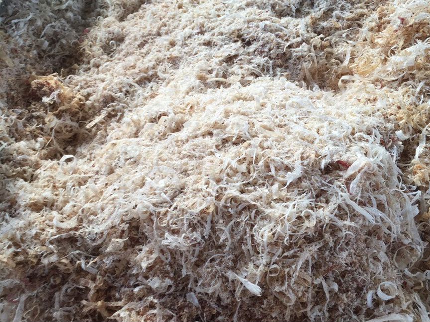 Опилки, стружка с дисковой пилорамы