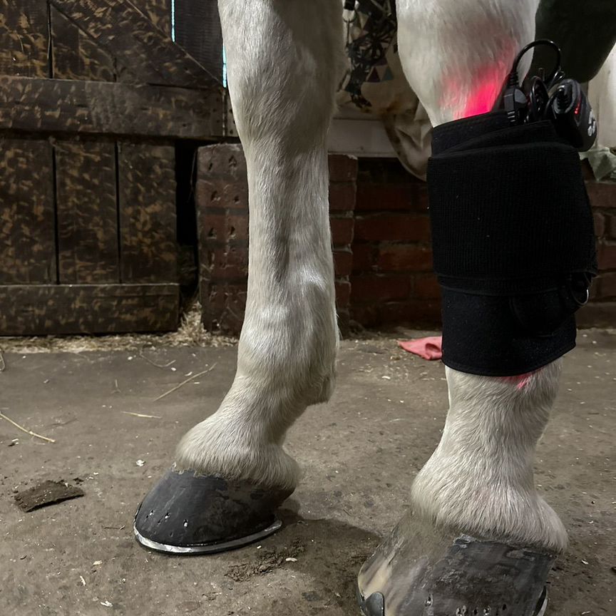 LED терапия для лошади(инфракрасная ногавка)