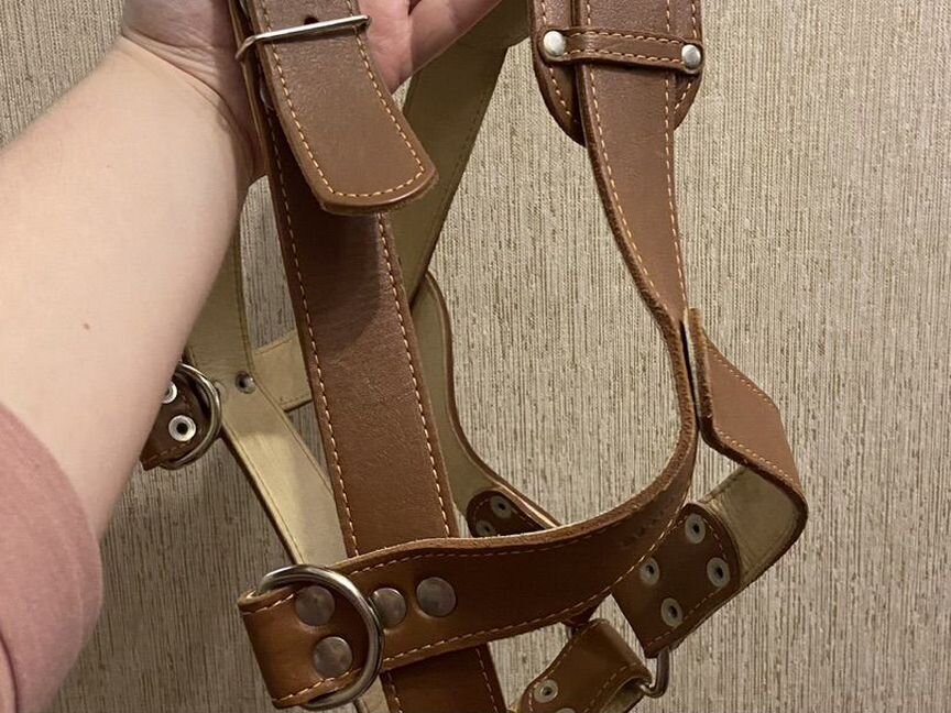 Шлейка и намордник для крупных собак