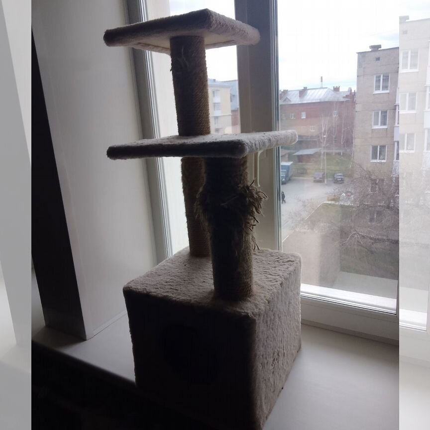 Когтеточка