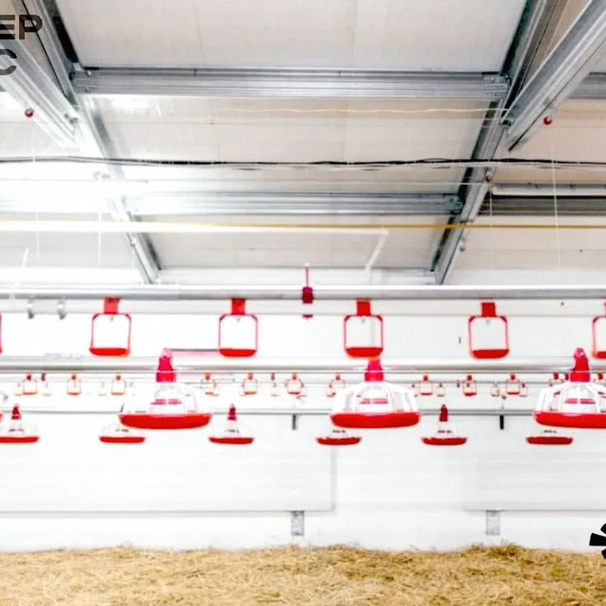 Ниппельное поение