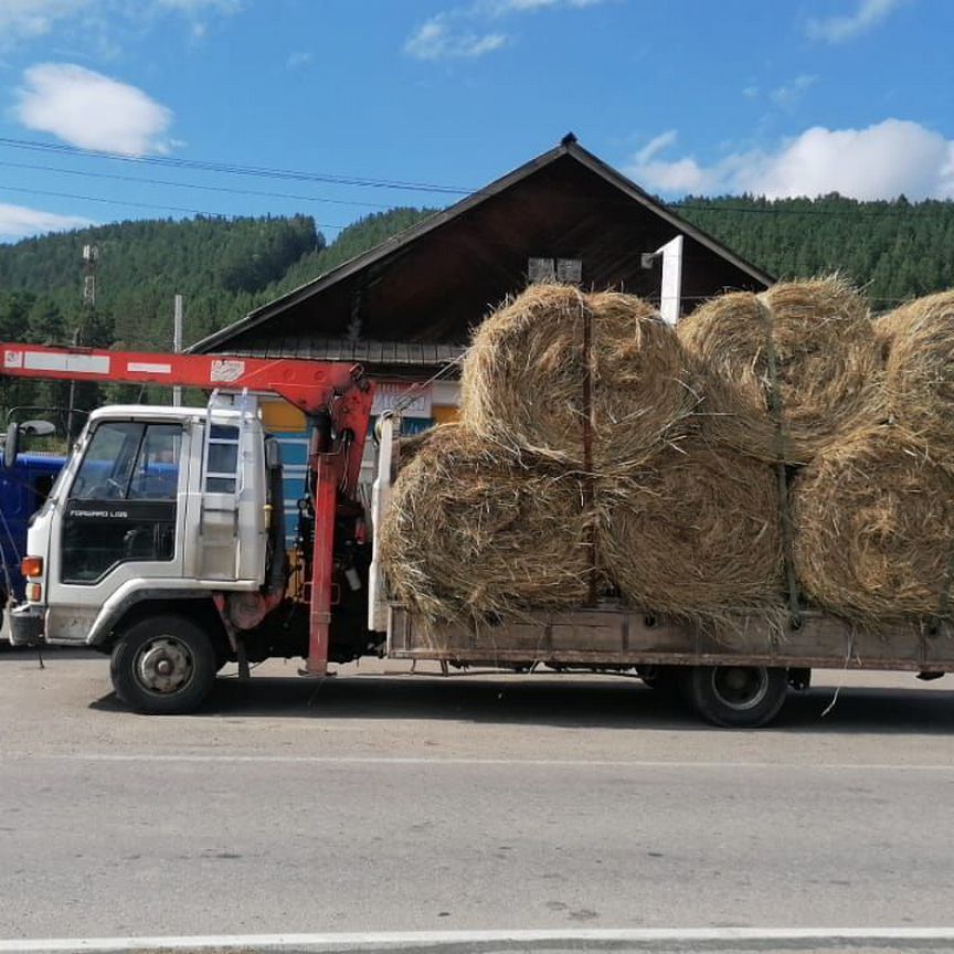 Сено луговое/сеяные травы