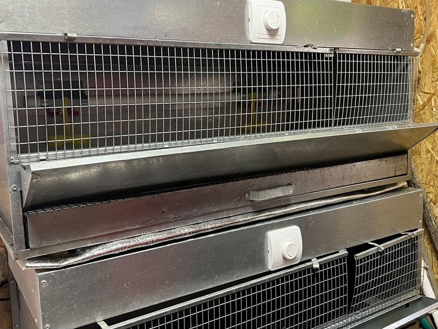 Брудер для цыплят